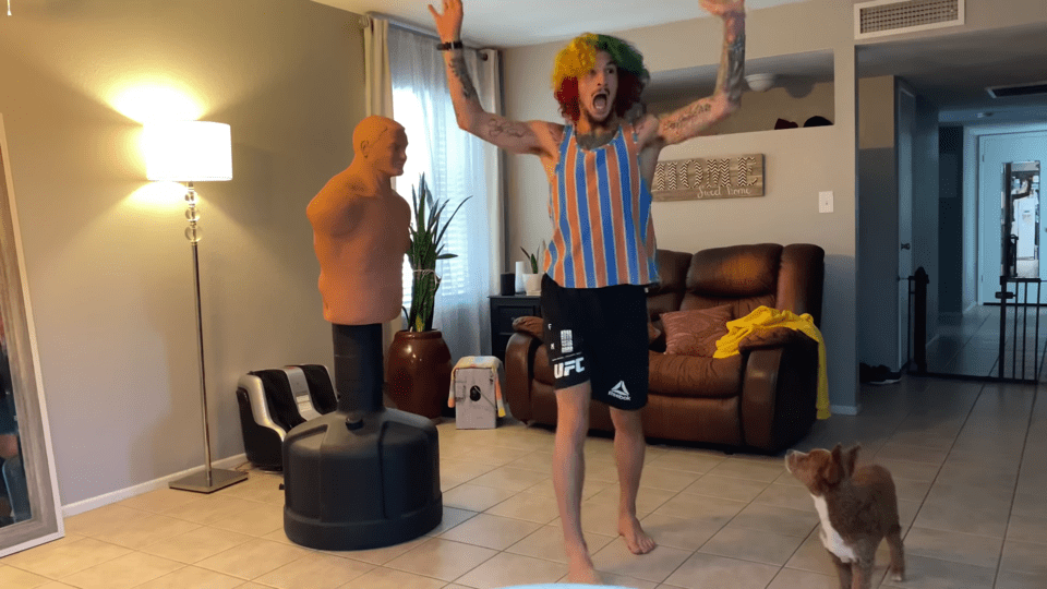 Video: Sean O’Malley offers technique breakdown of his KO vs. Cody ...
